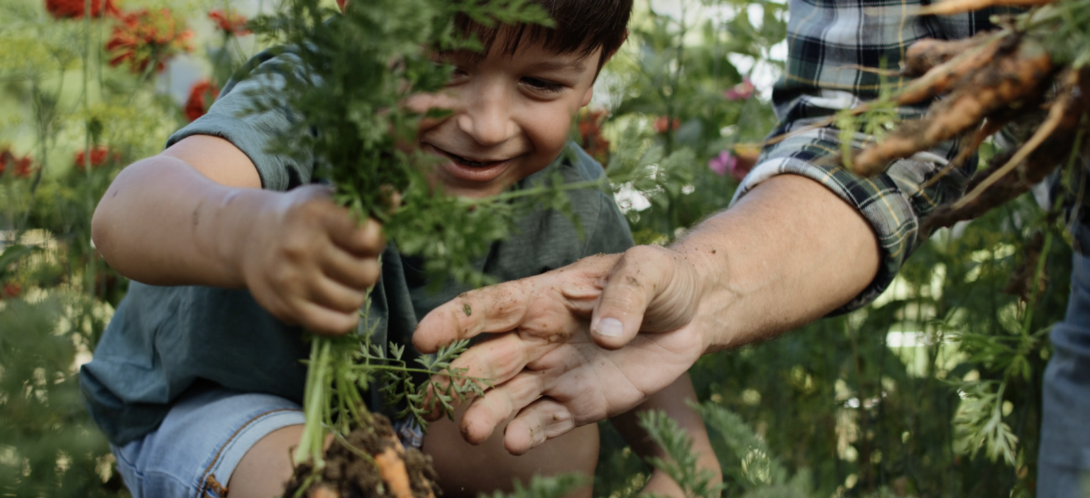 INTRODUCTION Question(s) – Permaculture Master Class