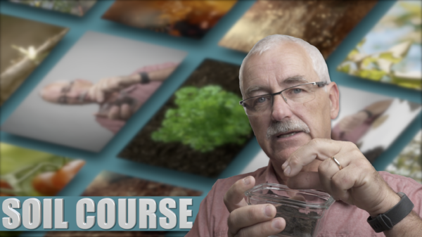 Courses – Permaculture Master Class