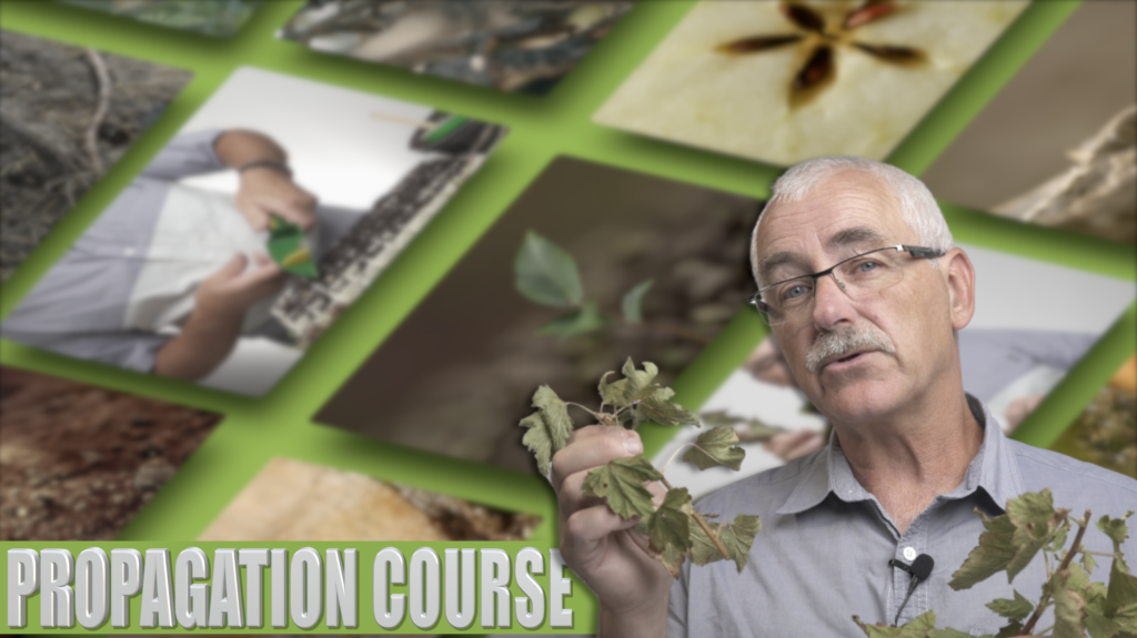 Courses – Permaculture Masterclass