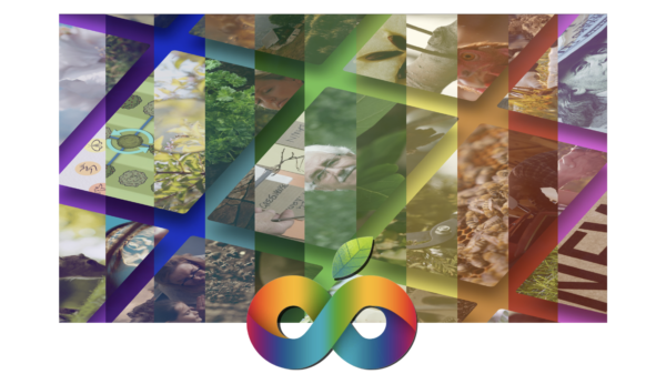 Courses – Permaculture Masterclass